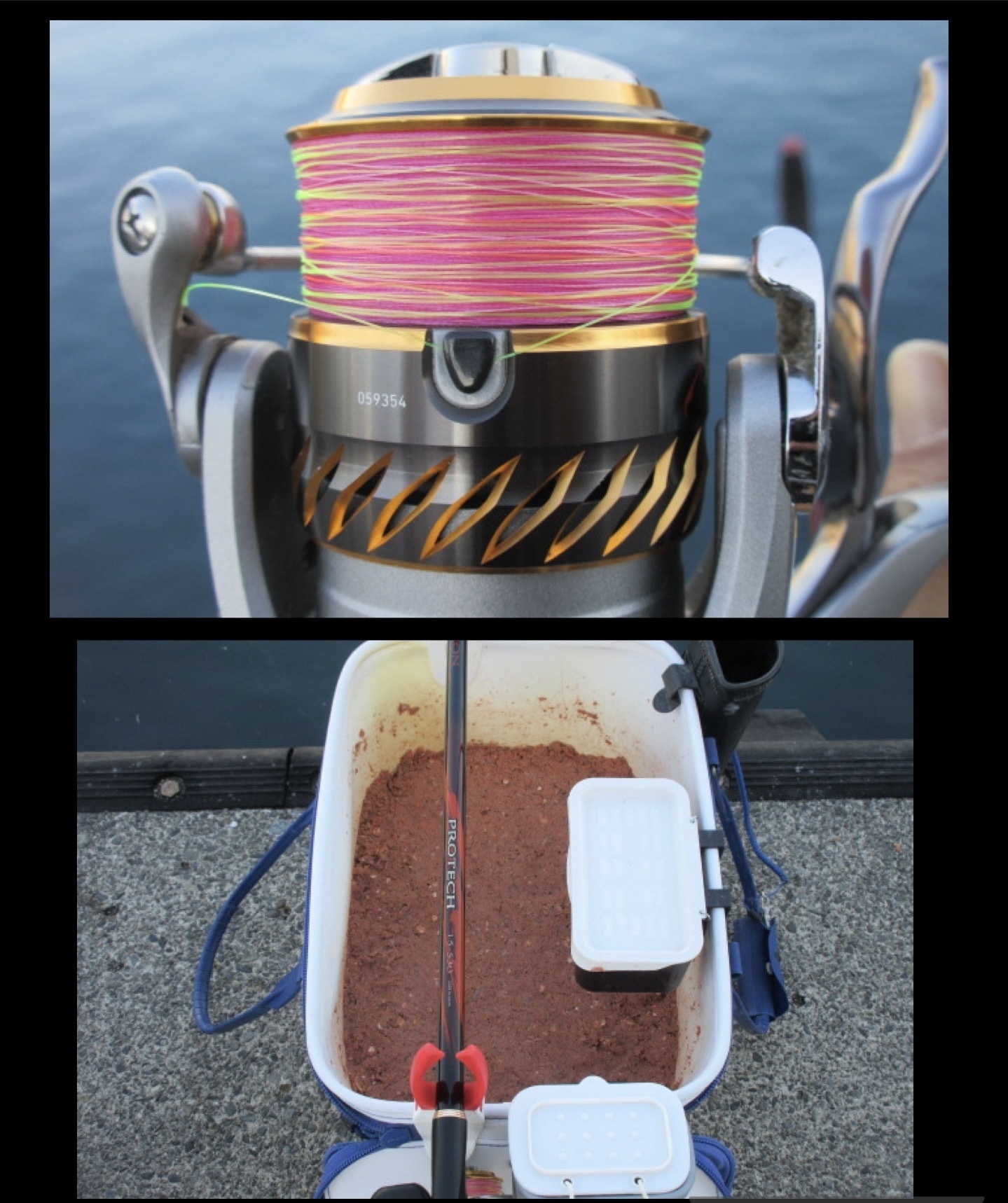 ノッコミ黒鯛開幕？: チヌプロジェクト